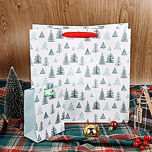 Lulu Home Christmas Wrapping Bags, 24 Packs Assorted Size Art Paper Gift Bags Set with Handles, Xmas Large Medium Small Bottle Bags for Holiday Birthday Present Packaging