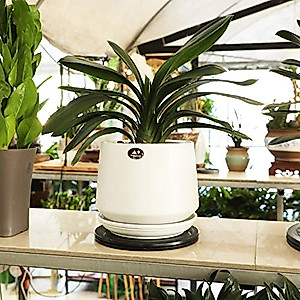 8" Bonsai Turntable Heavy Duty Rotating Garden Swivel Stand for Easy Trimming and Displaying Potted Plant