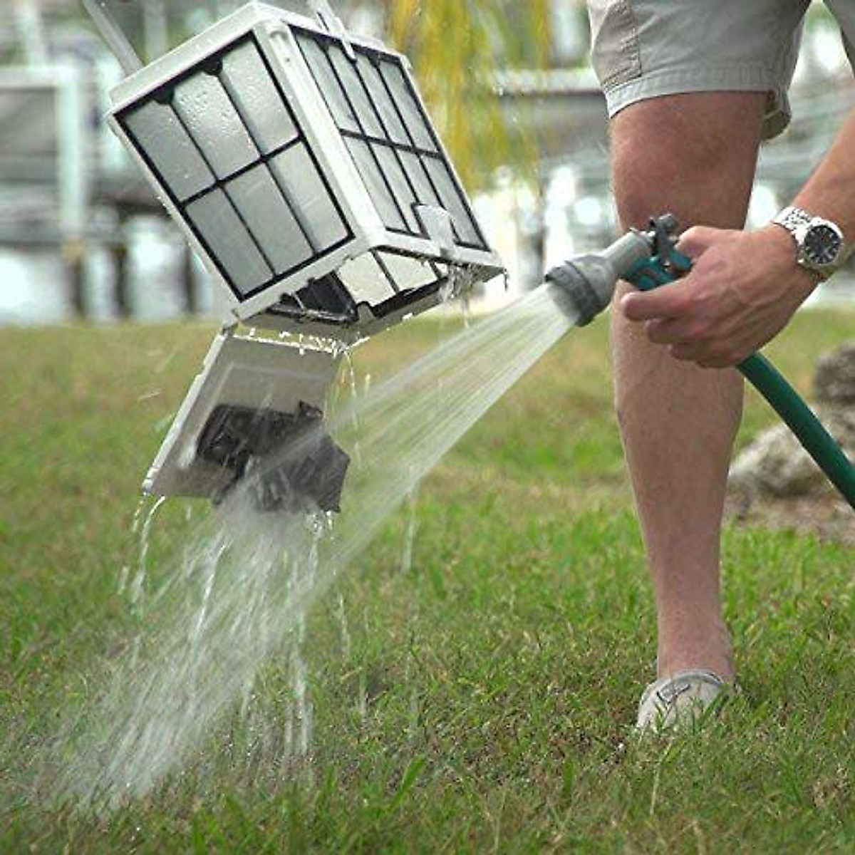 DOLPHIN Proteus DX5i Robotic Pool Cleaner - The Way of Pool Cleaning with WiFi Control, Ideal for Swimming Pools up to 50 Feet