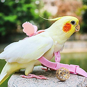 POPETPOP 10pcs Parrots Tabletop Interactive Toys Pack Bird Puzzle Training Toys Set Mini Pink Shopping Cart Toy with Hollow Balls Star Ring Pet Educational Toys for Cockatiel Cockatoo