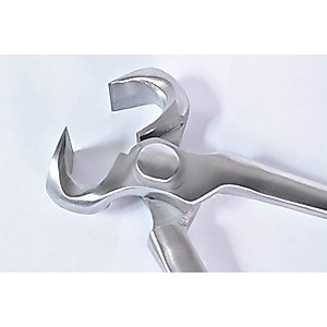 Miniature Hoof Nipper 10" for Ponies Vanadium Steel Farrier Tool in Dull Finish