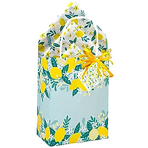 Small Gift Bags With Coordinating Tissue Paper and Gift Tags 5 Count (LEMON)