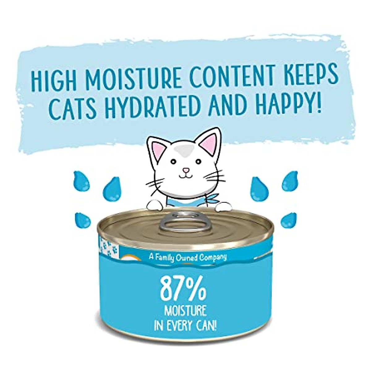 Weruva Classic Cat Paté, Press Your Lunch! with Chicken, 3oz Can (Pack of 12)