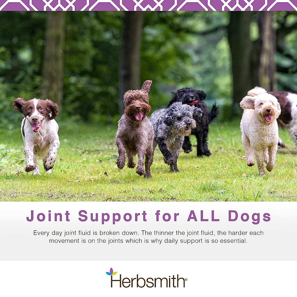 Herbsmith 75g Powder Advanced Joint Support Sound Dog Viscosity Veterinarian Recommended Glucosamine for Dogs