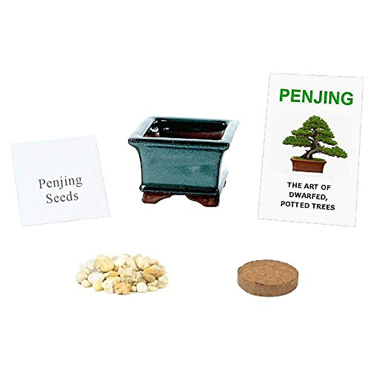 Eve's Garden Dwarf Gardenia Penjing Seed Kit, The Chinese Art of Bonsai, Complete Kit to Grow Flowering Dwarf Gardenia Penjing from Seed