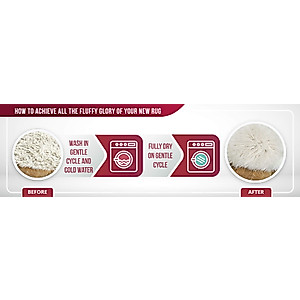 Chesserfeld Luxury Faux Fur Sheepskin Area Rug for Bedroom, Black, 4 x 6 with Thick Pile