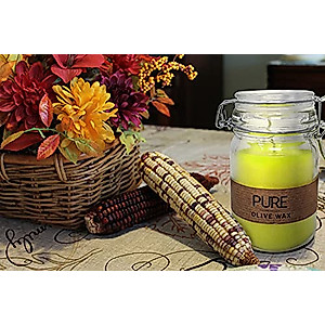 HYOOLA Pure Natural Jar Candles - 100% Olive Wax Candles in Glass - Paraffin Free Vegan Candle - Lime Green