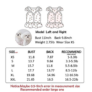 Dog Cat Rose Suspender Dress Floral Dog Skirt Elegent Dog Outfit Cat Dress for Party Wedding Birthday Puppy Apparel Summer Clothes