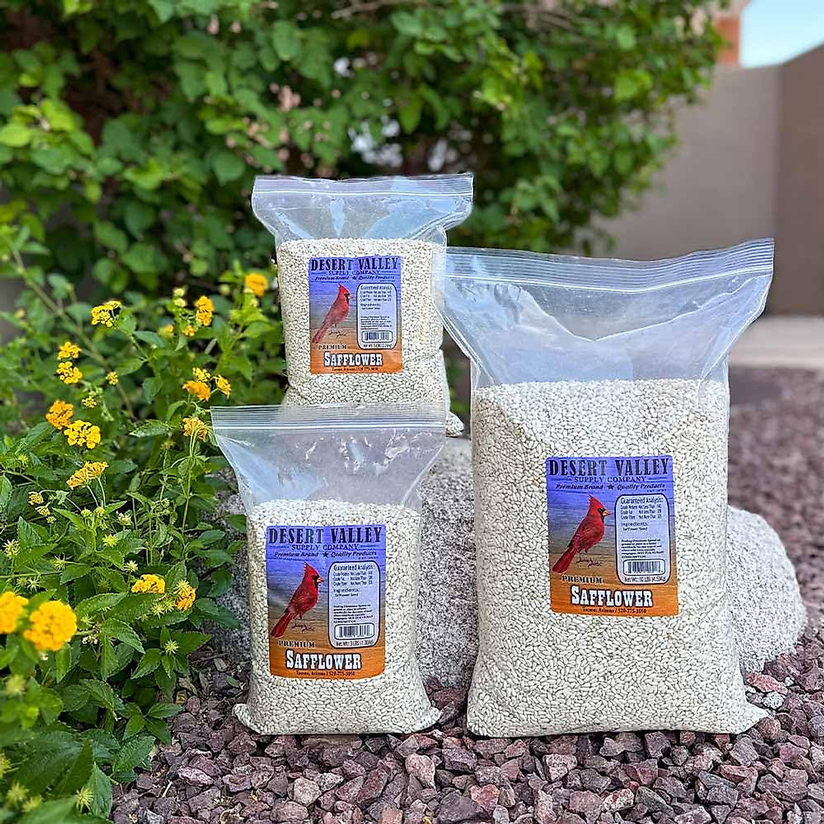 Desert Valley Premium Safflower Seeds - Wild Bird Food, Cardinals, Jays, Doves & More (10-Pounds)