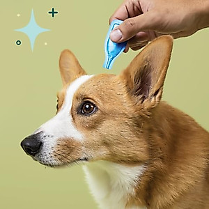 bSerene Valerian Calming Spot On for Dogs 3 Applications Convenient Weekly Topical Promotes Calmness and Relaxation
