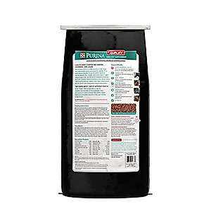 Purina Animal Nutrition Amplify Equine Supplement