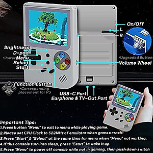 RG300 Handheld Game Console 2.8 inch Portable Retro Video Games Consoles Pocket Rechargeable Built-in Hand Held Classic System with Case and Screen Protector Gray 64GB