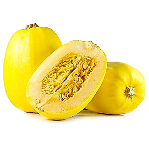 Vegetable Spaghetti Winter Squash Seeds for Planting, 25+ Heirloom Seeds Per Packet, (Isla's Garden Seeds), Non GMO Seeds, Botanical Name: Cucurbita Pepo, Home Garden Gift