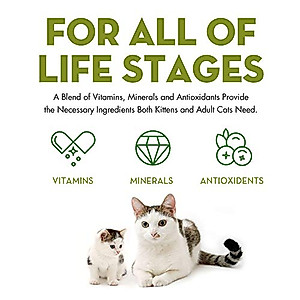 AvoDerm Natural Grain Free Salmon & Chicken Entrée in Gravy Wet Cat Food 3 oz (Pack of 24)