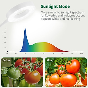 Diivoo Smart Grow Light for Indoor Plant Full Spectrum, Bluetooth LED Growing Lamp for Small Herb Garden, Automatic Timer, Stepless Dimming, Height Adjustable