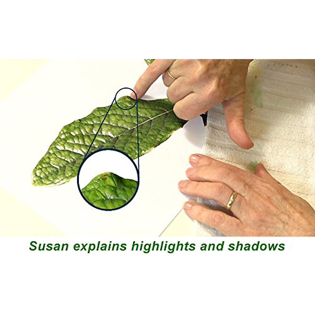 Susan Harrison-Tustain's Watercolor Masterclass Volume One. Life-like leaves, vibrant greens and 5 crucial elements for a successful painting.