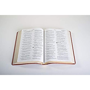 NLT Thinline Reference Holy Bible (Red Letter, LeatherLike, Brushed Pink): Includes Free Access to the Filament Bible App Delivering Study Notes, Devotionals, Worship Music, and Video