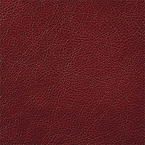 Pemberly Row 19.5" Traditional Faux Leather Double Reclining Sofa in Red