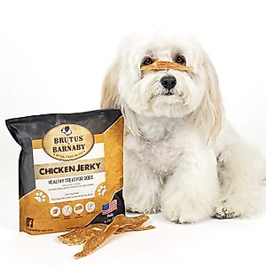 BRUTUS & BARNABY Chicken Jerky Dog Treats- Dehydrated Crunchy USA Premium Fillets, Grain-Free, Preservative-Free, No Fillers. All Natural Chicken Strips are Great for Dogs and Cats (10oz)