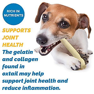 123 Treats - Ox Tail for Dogs 5-6" - (25 Count) | 100% Natural Dog Chews from Free Range Grass Fed Beef Bull Tail