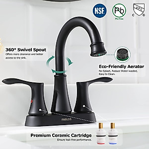 PARLOS 2-Handle Bathroom Sink Faucet High Arc Swivel Spout with Metal Drain Assembly and Faucet Supply Lines, Matte Black, Demeter 14134