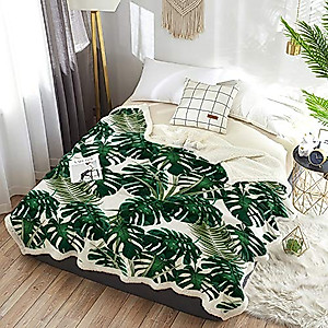 Sherpa Fleece Blanket Thick Tropical Leaves Monstera Bed Blanket Soft Cozy Luxury Blanket 40"x50" - Fuzzy Thick Reversible Super Warm Fluffy Plush Microfiber Throw Blanket for Couch