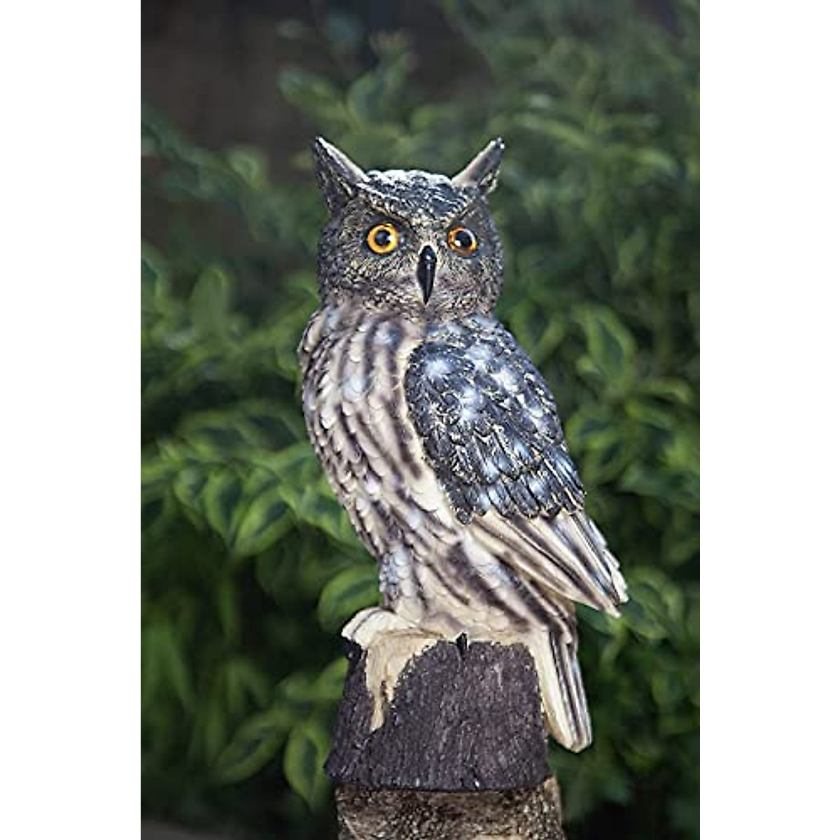 VA Horned Eagle Owl Resin Statue, Fake Owl, Fake Statue, Fake Owls, Garden Owl, Owl Décor, Realistic Owl, Owl Yard Décor, Owl.