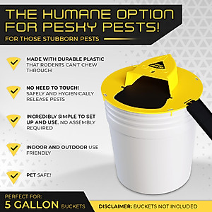 Arber Traps Bucket Lid Mouse Trap, Fits on 5 Gallon + 12 Pcs Sticky Mouse Traps Glue + 6 Pcs Spring Snap Traps for Mice - Multi Catch Humane Mouse Trap for Indoor and Outdoor Used