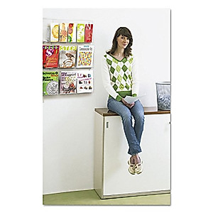 Safco 5606Cl Reveal Clear Literature Displays 12 Compartments 30W X 2D X 34-3/4H Clear