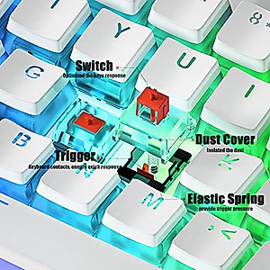 MIHIYIRY US Layout 60% Hot Swappable Mechanical Keyboard, RGB Backlit 61 Anti-ghosting Keys USB Wired Computer Keyboard Quick-Response Ergonomic Keyboard Suitable for Office and Games(Red Switch)