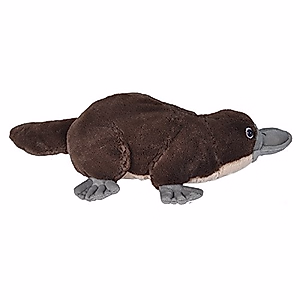 Wild Republic Platypus Plush, Stuffed Animal, Plush Toy, Gifts for Kids, Cuddlekins 12 inches