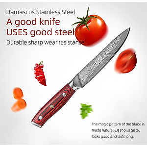 Damascus Knife 5 Inch, Damascus Kitchen Utility Knife 5 Inch, Damascus Chef Knife 5 Inch,Japanese VG10 edge, Red G10 Handle with Triple Rivets for Vegetables and Fruits in Gift Box