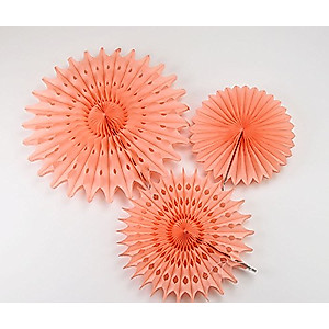 Furuix Mint Peach Baby Shower Decorations Mint Cream Peach Tissue Paper Fans Mint Peach Birthday Decorations Wedding Gender Reveal Bridal Shower Bachelorette Decorations Mint Green Peach Party Decor