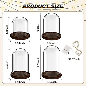 4 Pcs Clear Glass Dome Cloche with Led Fairy Light and Wood Base Set, Battery Operated Glass Cloche Glass Dome with Base Tabletop Bell Jar Display Case for Office Home Wedding Centerpiece (Coffee)