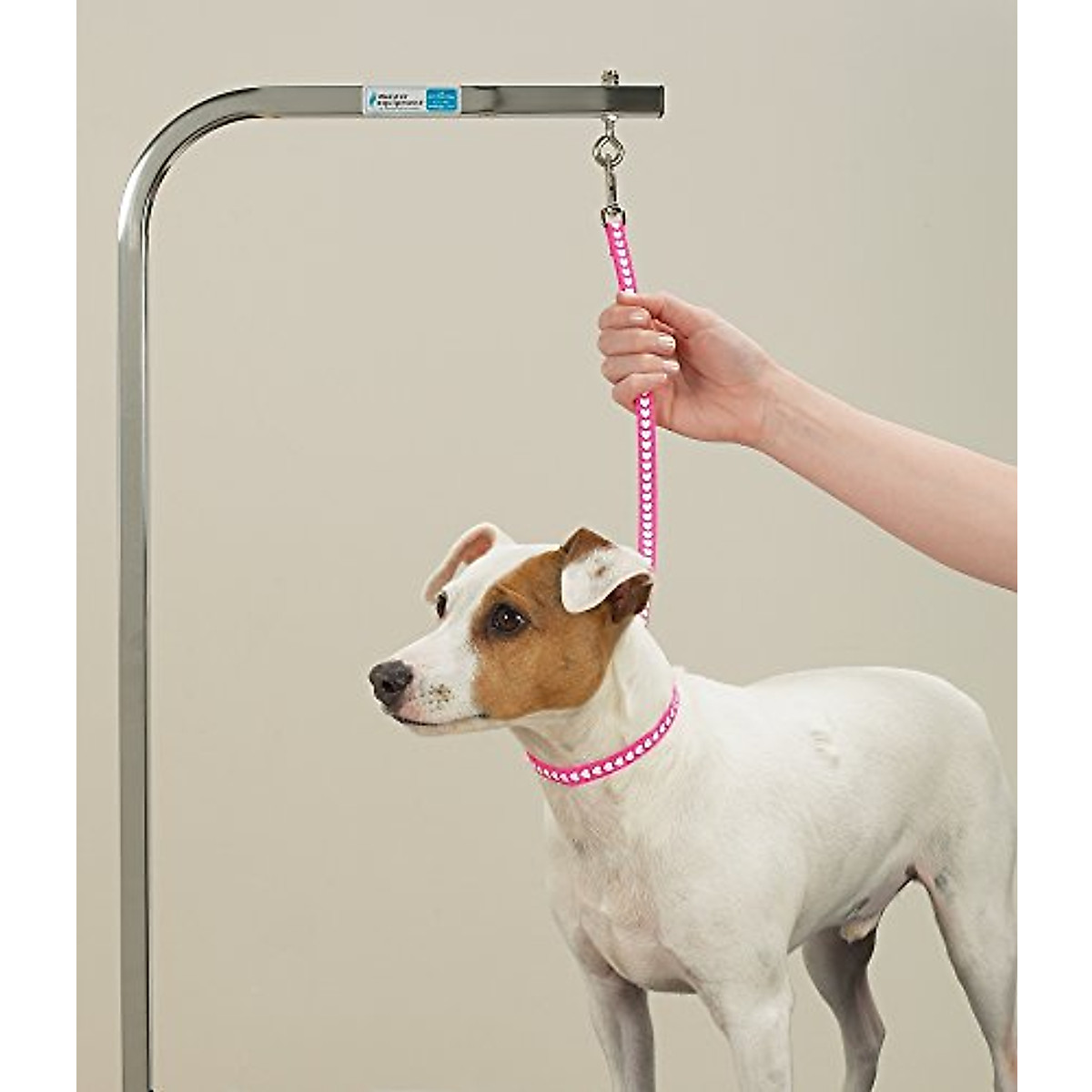 Top Performance Basic Grooming Loops - Versatile Nylon Loops to Secure Dogs on Tabletops While Grooming - 18", 4-Pack