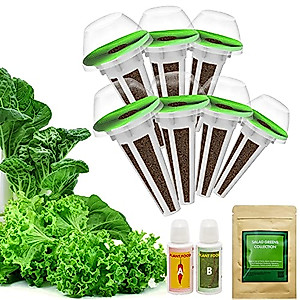 Heirloom Salad Greens Pod with Seed for Aerogarden Harvest, 7-Pods(350 Seeds+, Include Green Leaf Lettuce, Paris Island Lettuce, Buttercrunch Lettuce, Arugula, Broccoli, Green Chard, and Spinach)