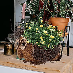 Garneck 1pc Owl Flower Basket Owl Bonsai Pot Rattan Basket Rustic Pots Micro Landscape Pots Wedding Table Centerpiece Animal Flower Outdoor Wall Natural Coco Replacement Liner Coir Plant