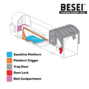 2-Pack, BESEI Humane Mouse Trap - Animal Friendly Rodent (Mouse and Rat) Trap, Catch and Release