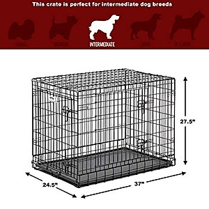 MidWest Ultima Pro Series 36" Dog Crate | Extra-Strong Double Door Folding Metal Dog Crate w/Divider Panel, Floor Protecting "Roller Feet" & Leak-Proof Plastic Pan