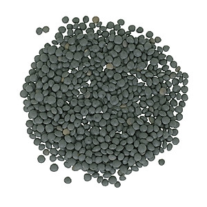 Lentils | Black Beluga | 4 lb Bag | Non-GMO | Kosher | Vegan | Non-Irradiated