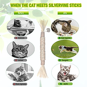 BAWAN Catnip Toys‖ Silvervine for Cats: Cute Cat & Kitten Toys for Indoor Cats Interactive‖ Cat & Kitten Teething Chew Toys for Aggressive Chewers‖ Silvervine Sticks Cat Dental Toy (5PCS)