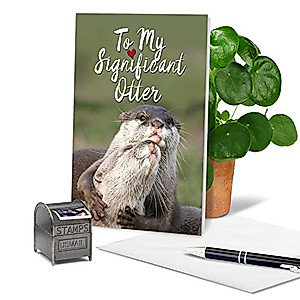 NobleWorks - Funny Anniversary Greeting Card - Romantic Spouse Humor, Married Couples Anniversary Notecard - Significant Otters C5528ANG