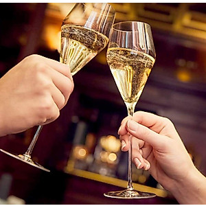 Zalto Denk'Art Champagne Hand-Blown Crystal Wine Glasses | Set of 2