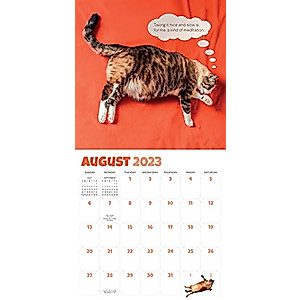 Chonkers Wall Calendar 2023: Irresistible Photos of Snozzy, Chonky Floofers Paired with Relaxation-Themed Quotes