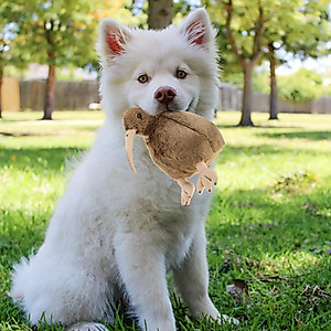 Kiwi Bird Stuffed Plush Toy: Kiwi Bird Plush Stuffed Doll Soft Furry Stuffed Animal Toys for Pets Dogs Puppy 12cm