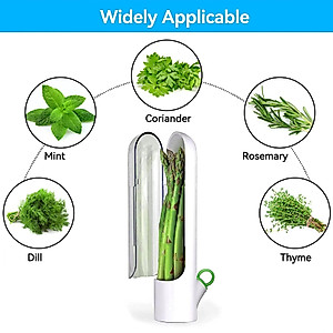 Fresh Herb Keeper for Refrigerator, 2PCS Cilantro Fresh Container Herb Savor Pod Herb Keeper and Herb Saver Fruit Containers Transparent Vegetable Preservation Bottle Kitchen Storage Cup for Cilantr