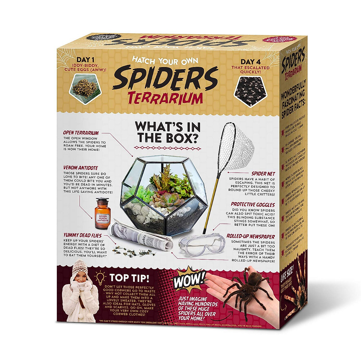 Prank Gift Box Hatch Your Own Spider Terrarium - Perfect Gag Gift and Funny White Elephant Idea