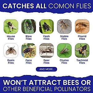 Fly Traps Outdoor Fly Traps. 9 Natural Pre-Baited Fly Bags Outdoor Disposable. Fly Trap Bag Fly Catchers Outdoors. Stable Horse Ranch Fly Trap. Disposable Fly Traps Outdoor Hanging Fly Killer