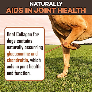 Beef Collagen Sticks For Dogs - Great Long Lasting Beef Collagen Dog Chews - Odor-Free, Natural Treat That Supports Joint Health With Natural Glucosamine & Chondroitin, For All Dog Breeds