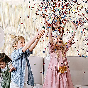 Champagne Gold Backdrop Curtains -6.5x9.8 feet, Pack of 2 | LILF Matte Foil Fringe Curtain Tinsel Streamers Backdrop with Non-Marking Tape for Birthday Bachelorette Party Decoration Photo Booth Props